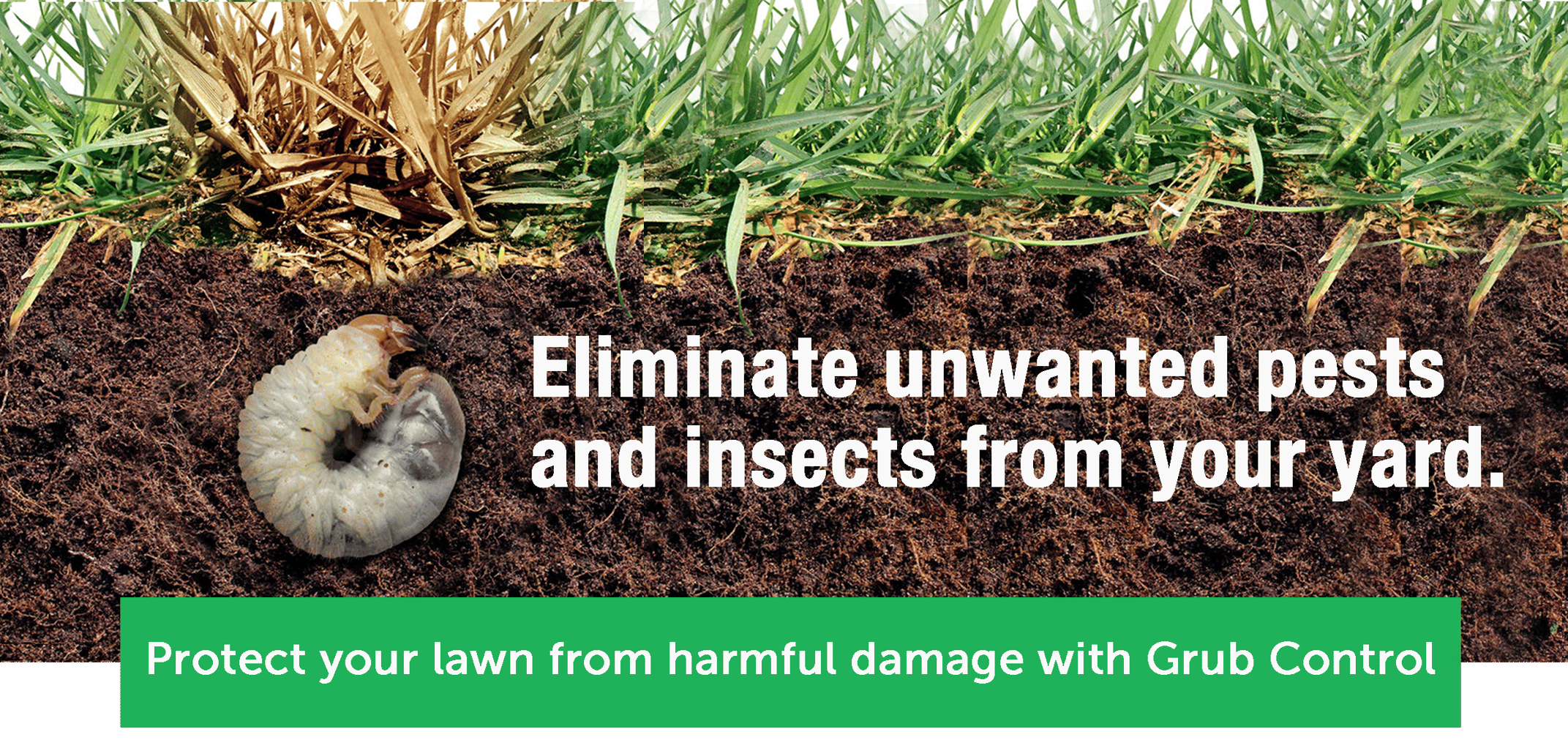 Nutri-Lawn | Grub Control