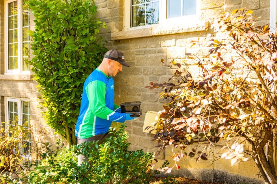 Rodent Control Maple Ridge | Nutri-Lawn