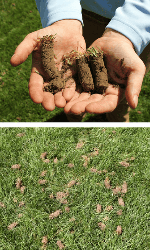 Core Aeration | Nutri-Lawn