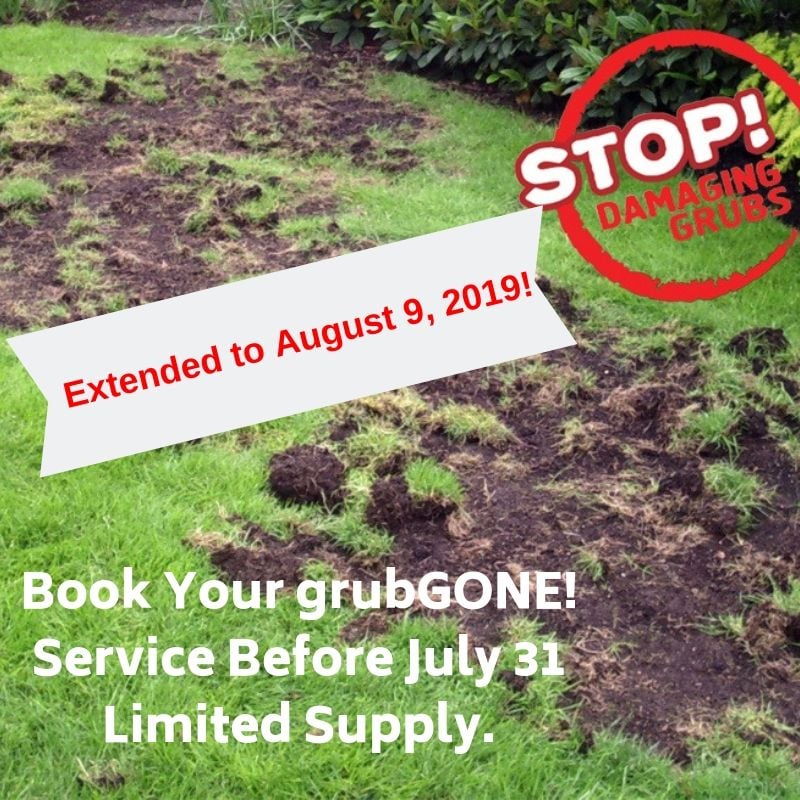 Ottawa Lawn Care & Weed Control | Nutri-Lawn