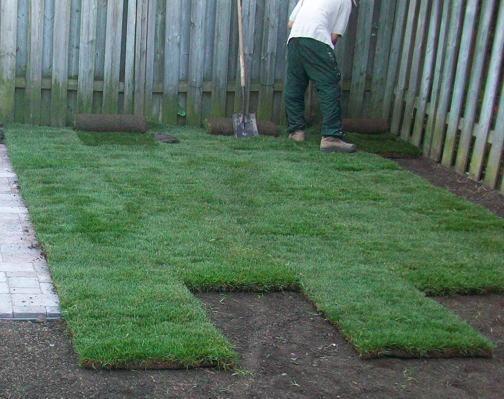 Lawn Renovation & Rejuvenation | Nutri-Lawn